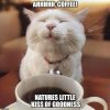 40 Funny Coffee Memes That Will Make You Laughing - Freshmorningquotes